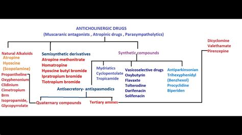 Classification Of Anticholinergic Drugs Youtube