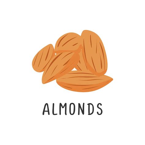 Almonds Vector Illustration Flat Design Cartoon Of Nutty Almonds