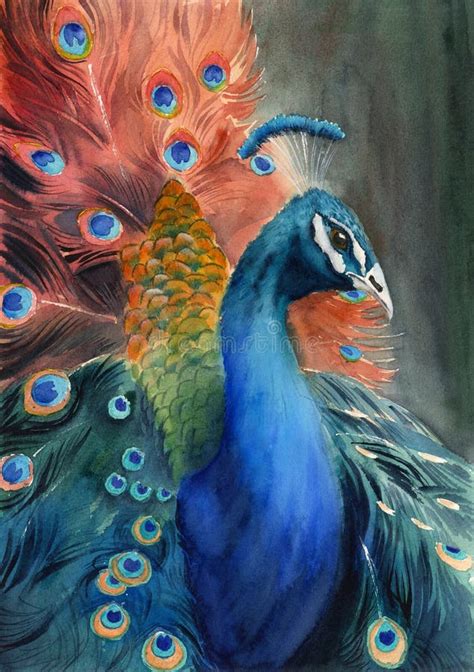 Beautiful Paintings Of Peacock