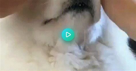 How Eyebrows Depict An Expression  On Imgur