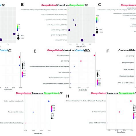Go Annotation And Wikipathways Analysis Of Degs A C Dot Plots