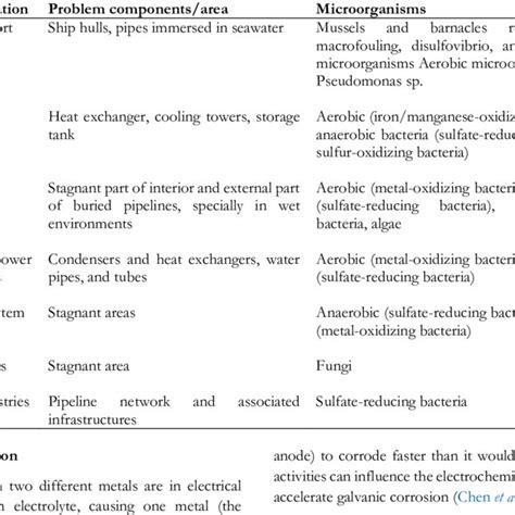 Some Examples Of Systems Affected By Microbial Influenced Corrosion