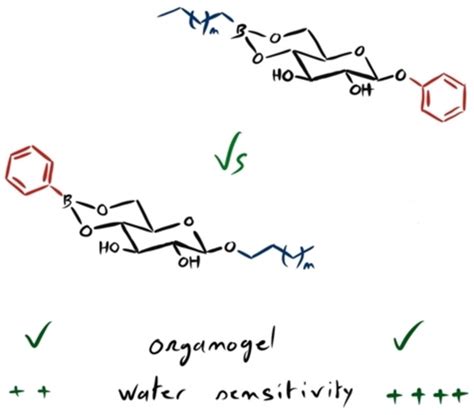 Alkylboronate β‐phenylglucoside Versus Phenylboronate β‐alkylglucoside