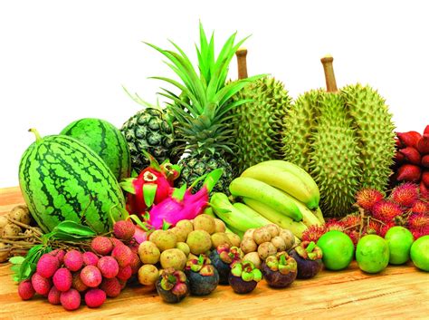 Industri Pemprosesan Buah Buahan Semakin Mengembang Agrimag