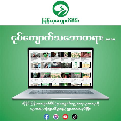 ငုပ်ကျောက်အကြောင်း သိကောင်းစရာ မင်္ဂလာပါ မိတ်ဆွေတို့။ ဗီဒီယိုဖိုင်ထဲက