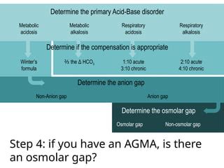 Comprehensive Introduction To Acid Base Physiology In Nephrology Pptx