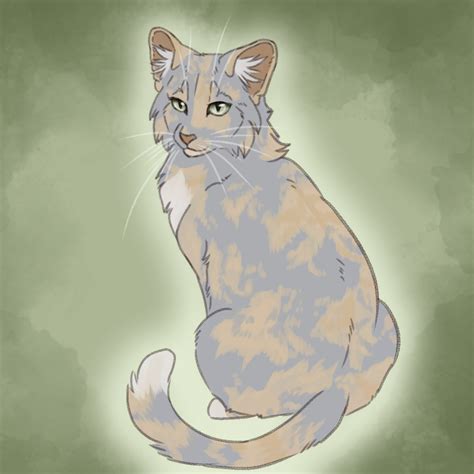 Gray Tortoiseshell Cat