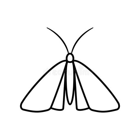 Outline Moth Drawing Isolated Butterfly Icon Contour Insect Template