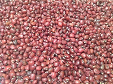 Red Small Beans Arabian Organics