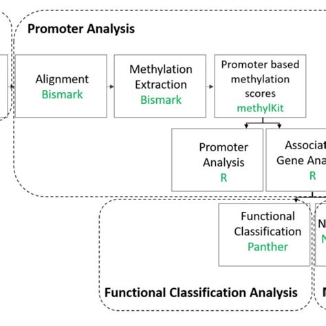Summary Of The Data Analysis Workflow Download Scientific Diagram