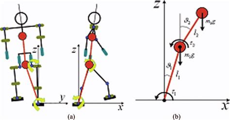 A Humanoid Robot Motion Modelling B Double Inverted Pendulum Download Scientific Diagram