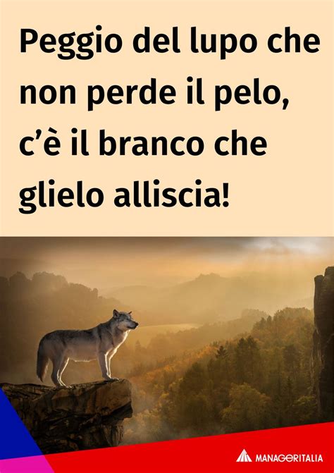 Giuseppe Santoro Posted On Linkedin