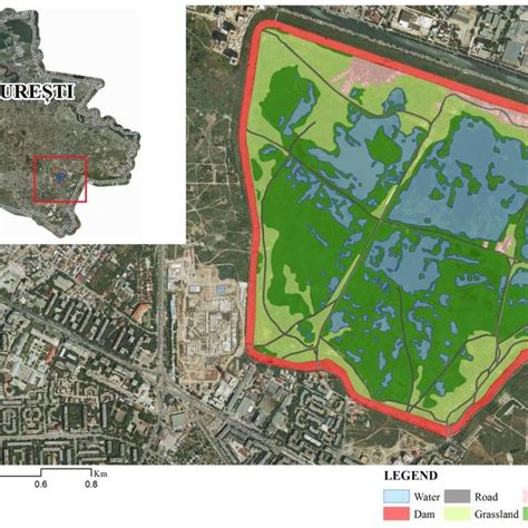 The Location Of Balta Văcăreşti In Bucharest Phemeranthus Download Scientific Diagram