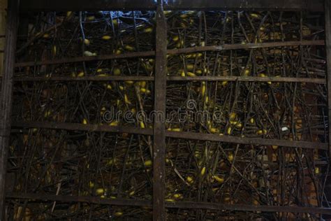 Separate Silk Worm Via Spinning Wheel Thai Wisdom Process Highlights