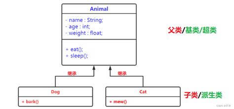 java基础——继承 子类中新增成员函数 csdn博客