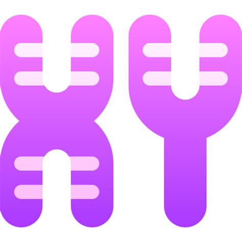 Chromosome Basic Gradient Gradient Icon