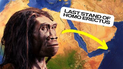 Homo Erectus
