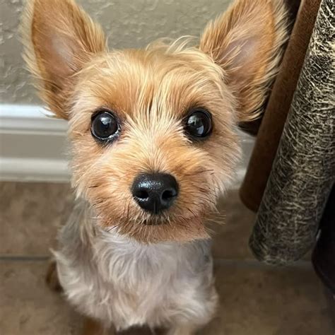 Mariko Okazaki Mariko 24britt On Threads