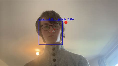 gaze detection and eye tracking a how to guide