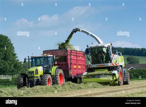 Claas Jaguar 850 Self Propelled Forager Chopping Grass And Loading Trailers For Silage To Be