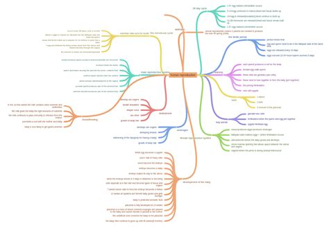 Human Reproduction Coggle Diagram Human Reproduction Coggle Diagram