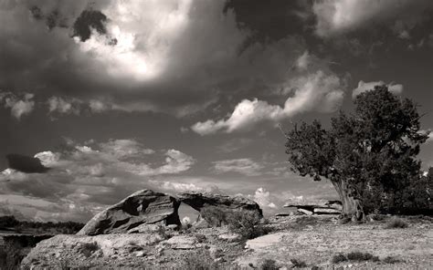 100 Black And White Nature Wallpapers