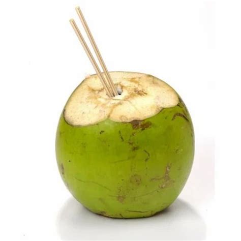 Tender Coconut B Grade Tender Coconut From Chennai