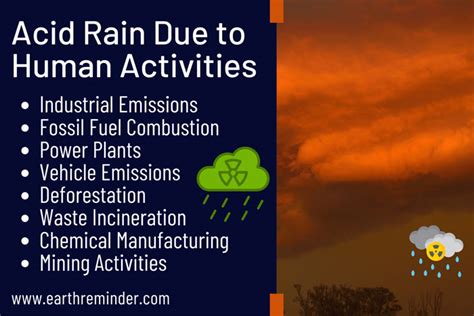 Main Causes Of Acid Rain By Natural And Human Activities