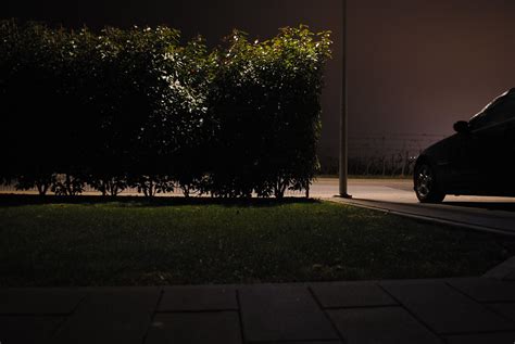 Assignment4part2 Flickr Assignment4part2 Flickr