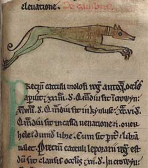 Booktryst Jewel Of Welsh Manuscripts Goes Digital