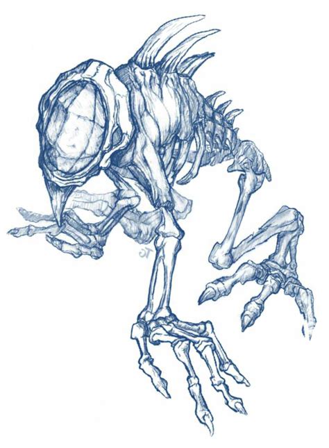 Skeletal Intellect Devourer Forgotten Realms Wiki Fandom