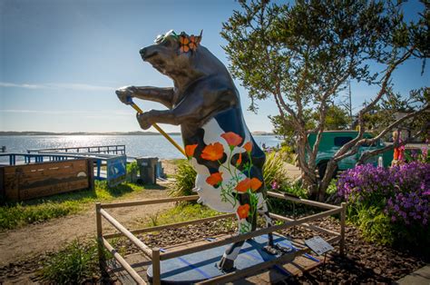 How To Spend A Perfect Day In Los Osos California