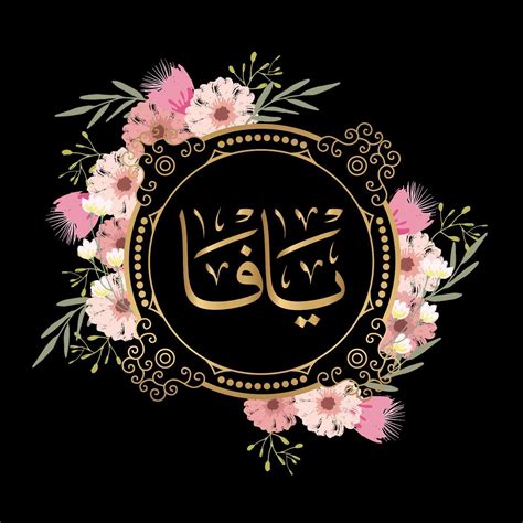 نوڤـا Nova On Reels Facebook