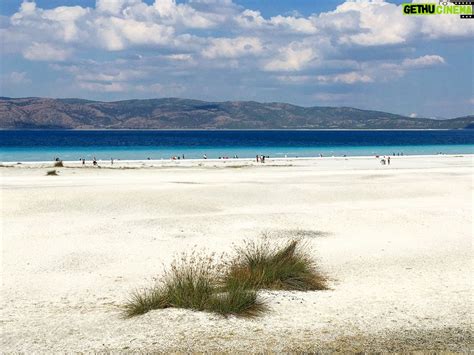 Cihan Ercan Gethu Cinema