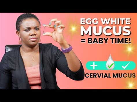 Egg White Cervical Fluid