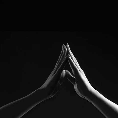 Enhancing Data Management Using Chatgpt For Categorizing Ex