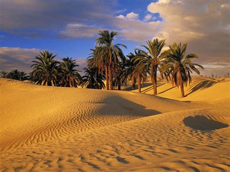 Desert Oasis Wallpapers Top Free Desert Oasis Backgrounds