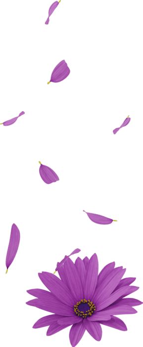 Falling Flowers Pngs For Free Download