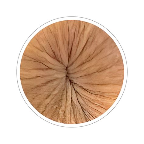 Butthole Sticker Free Shipping Premium Removable Vinyl Round Butthole Decal Stickers Etsy