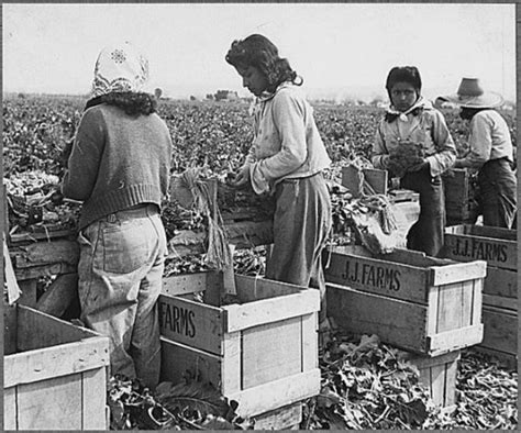 The Role Of The Bracero Program In Redefining Mexican Gender Norms