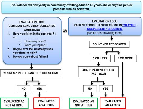 What Are The 5 Elements Of Falls Safety At Jocelyn Taylor Blog