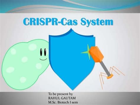 Crispr Utilization At Rna Level Pdf