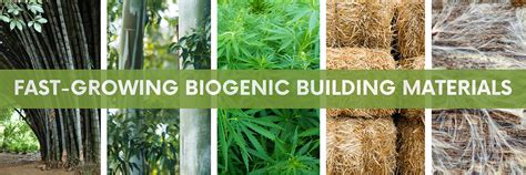 Revolutionizing Construction The Rise Of Biogenic Building Materials