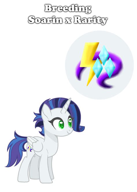 Mlp Breeding Soarin X Rarity By Pokeami On Deviantart