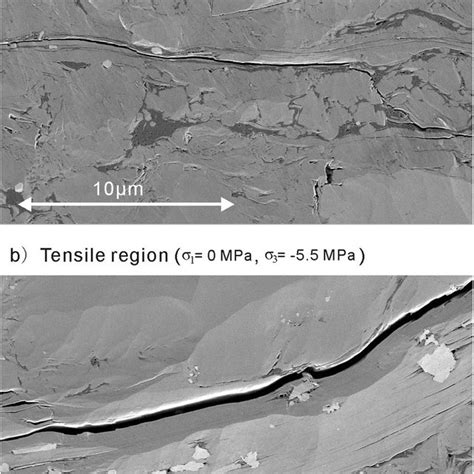 Scanning Electron Microscope Sem Imaging Of Typical Micro Fractures Download Scientific