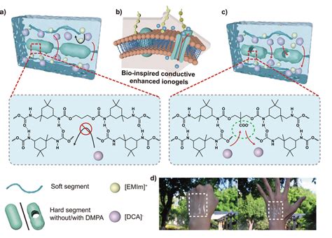 Schematic Illustration Of The Principle Of Conductive Enhanced Ion Gels