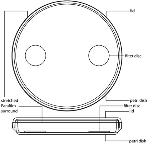1 Filter Disc Binomial Choice Assay Top View And Side View Diagram