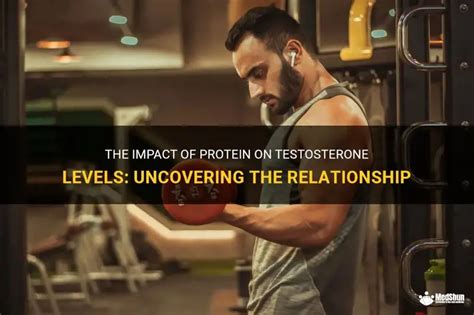 The Impact Of Protein On Testosterone Levels Uncovering The