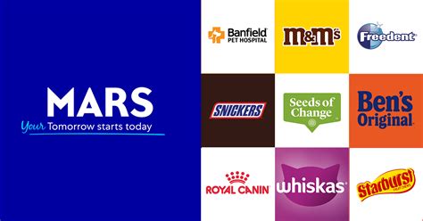 Insights And Analytics Manager Regional Logistics Eu Job In Cairo Egypt Procurement Jobs At