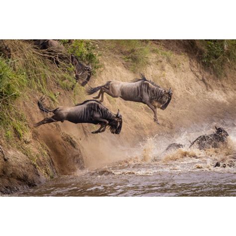 17 Stories Great Migration By Dennis Stogsdill Wrapped Canvas Photograph Uk